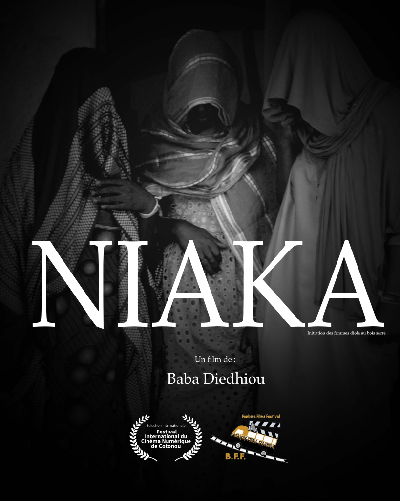 Grand Format Baba Diedhiou - Institut Français du Sénégal à Dakar